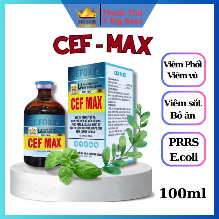 CEF MAX - G 100ML. Điều trị: : Nhiễm khuẩn đường tiêu hóa hô hấp viêm ...