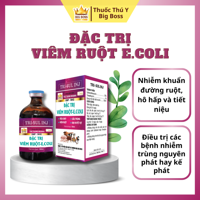 ĐẶC TRỊ: VIÊM RUỘT E.COLI - 100ML. Đặc trị: tiêu chảy, viêm ruột, cầu ...
