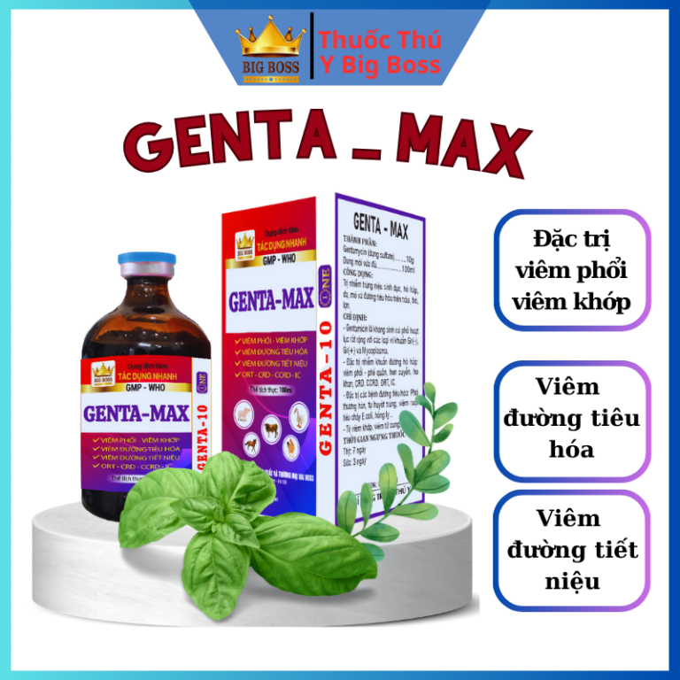 GENTA MAX 10% - 100ML. Đặc trị các bệnh viêm phổi, viêm đường tiêu hóa ...