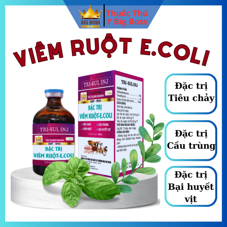 ĐẶC TRỊ : VIÊM RUỘT E.COLI - 100ML. Đặc trị: tiêu chảy, viêm ruột, cầu ...