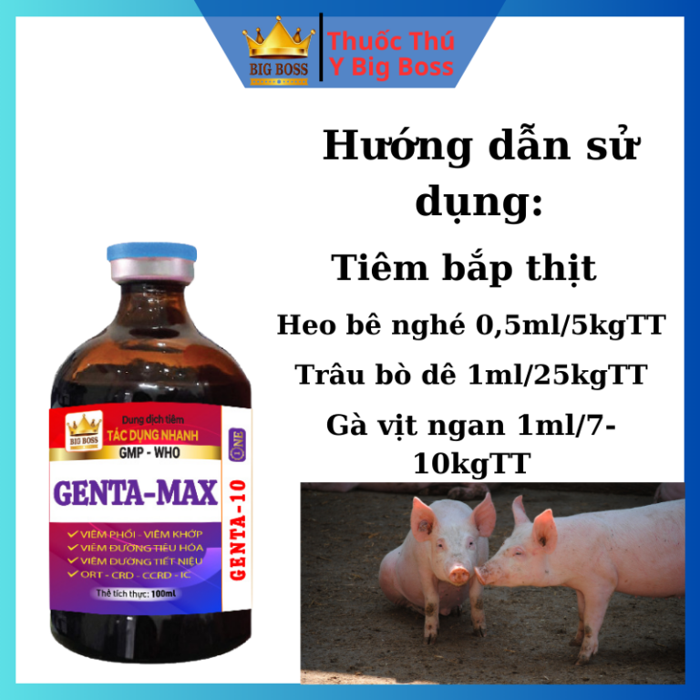 GENTA MAX 10% - 100ML. Đặc trị các bệnh viêm phổi, viêm đường tiêu hóa ...