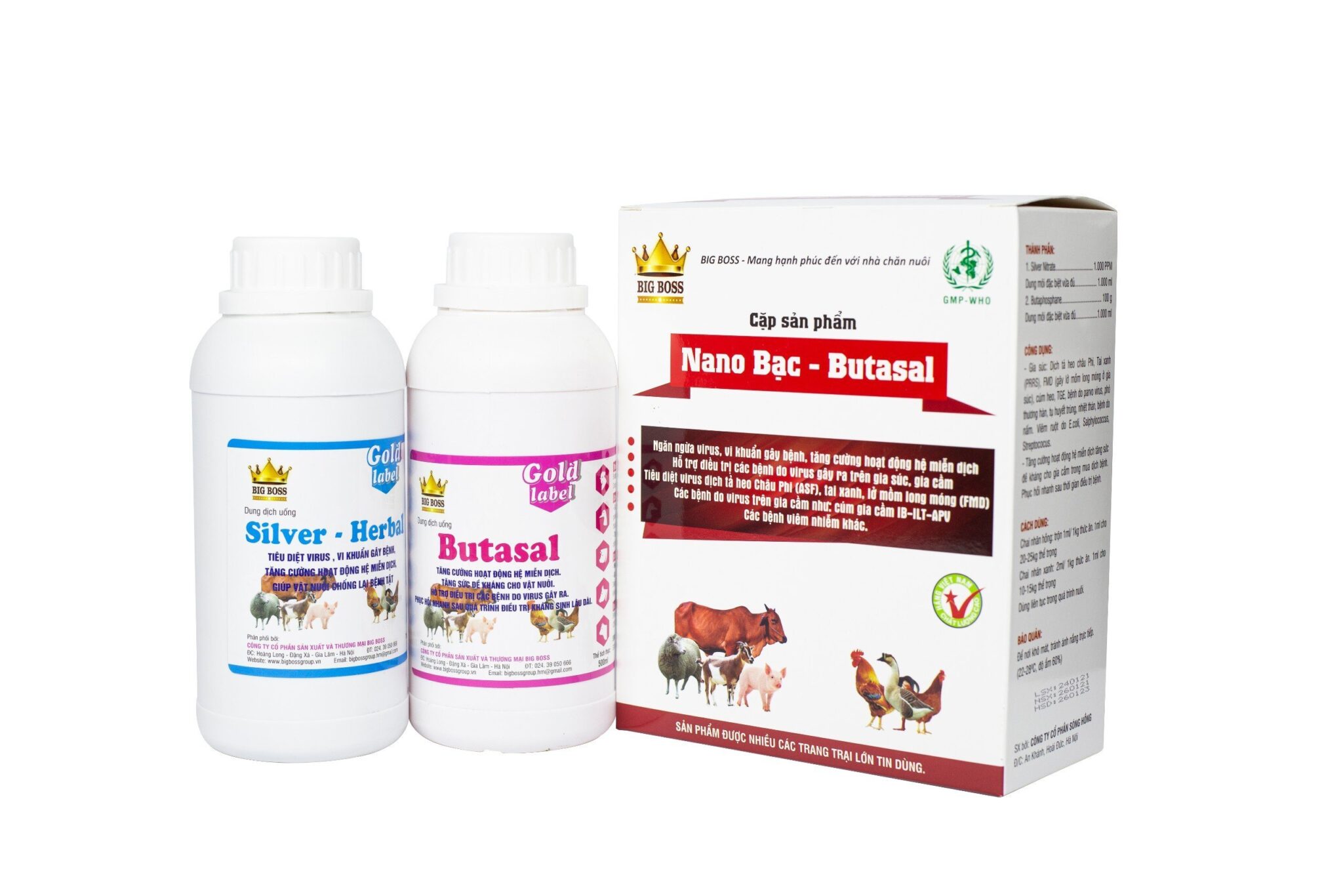 BỆNH VIÊM HỒI TRÀNG HEO - NGUYÊN NHÂN VÀ CÁCH ĐIỀU TRỊ - Thuốc Thú Y ...