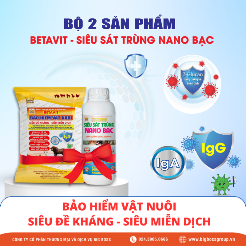 Thông tin mới nhất về ASF trên heo – Dịch tả lợn Châu Phi